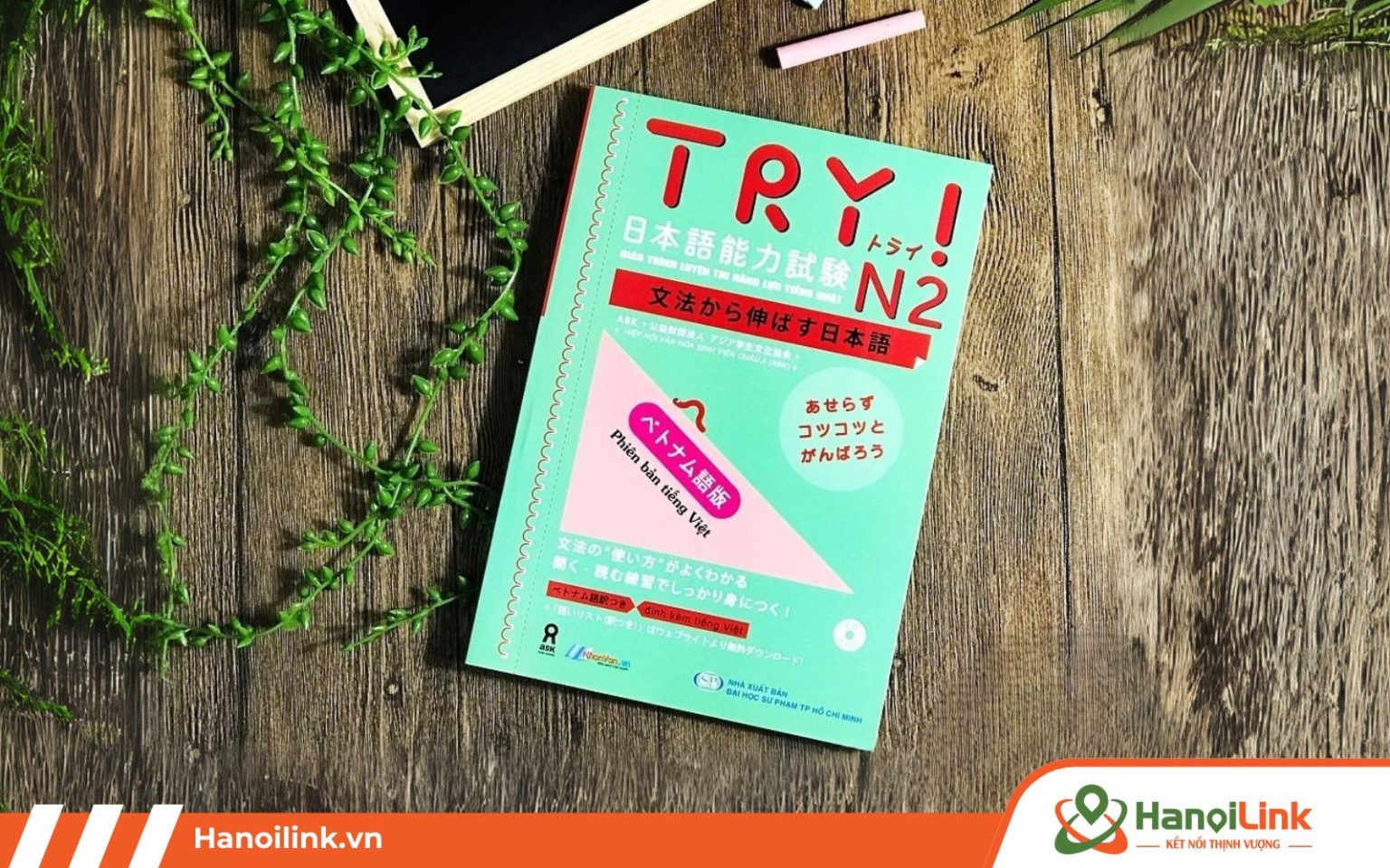 Tổng hợp 120 mẫu ngữ pháp N2 tiếng Nhật kèm PDF đầy đủ nhất